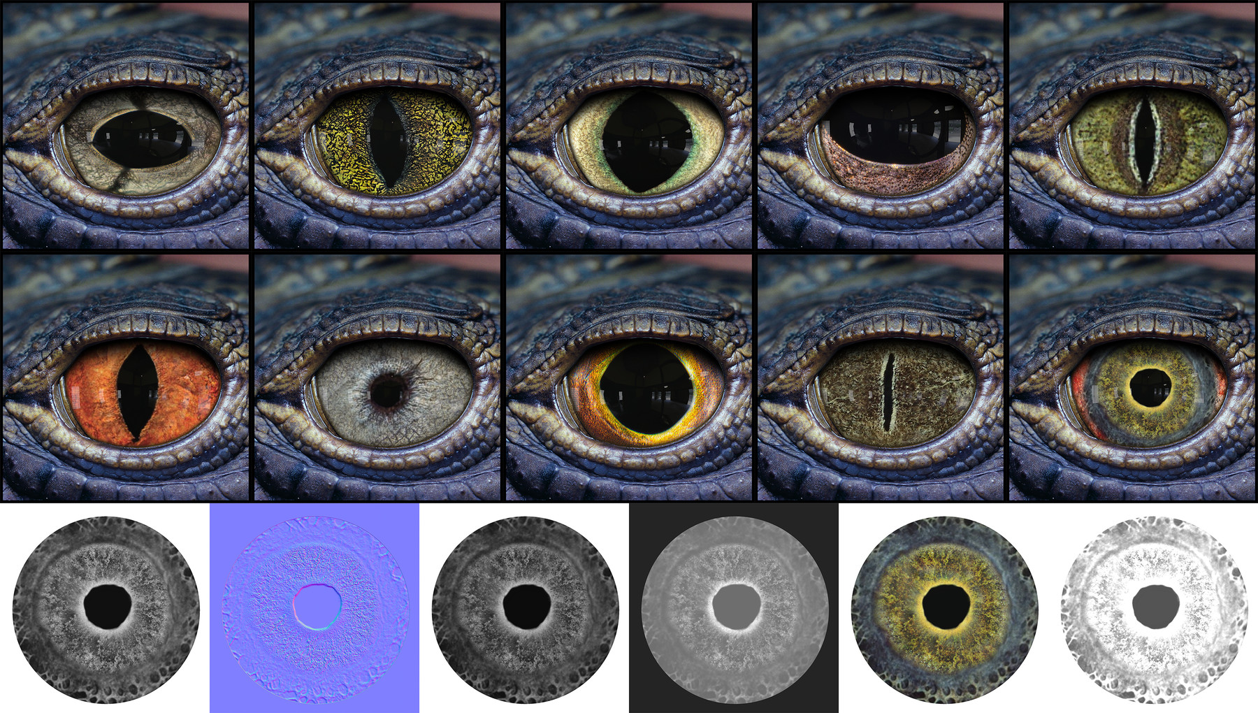 ArtStation - Creature Eye Textures - Vol 03 | Resources