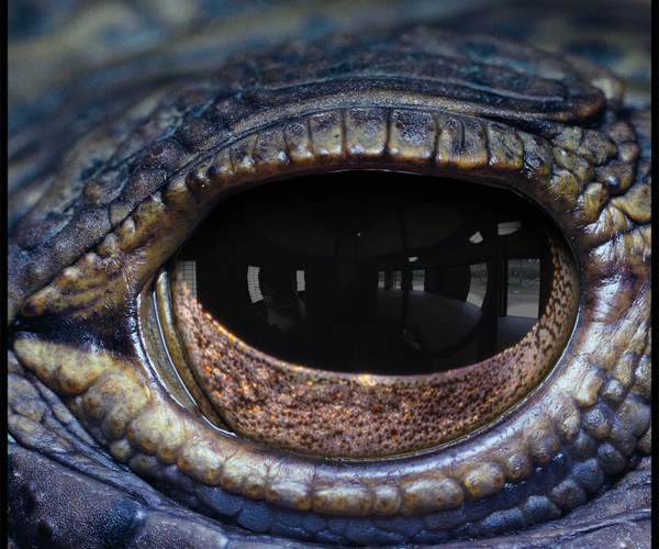 ArtStation - Creature Eye Textures - Vol 03 | Resources