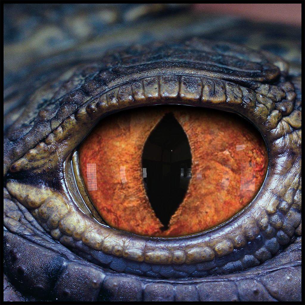 ArtStation - Creature Eye Textures - Vol 03 | Resources