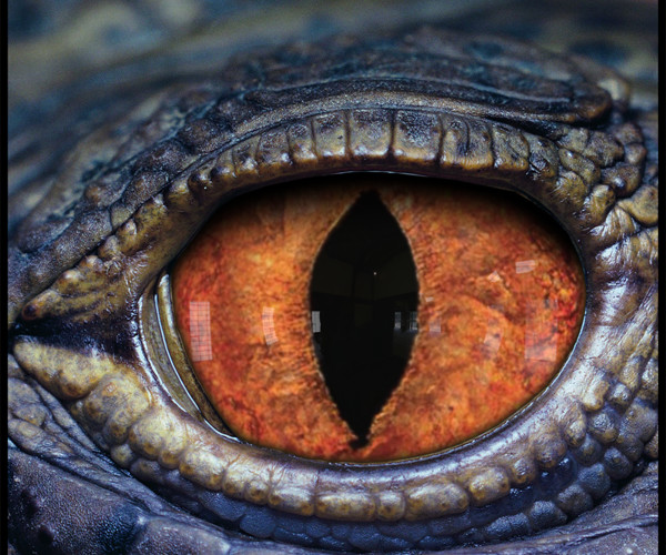 ArtStation - Creature Eye Textures - Vol 03 | Resources