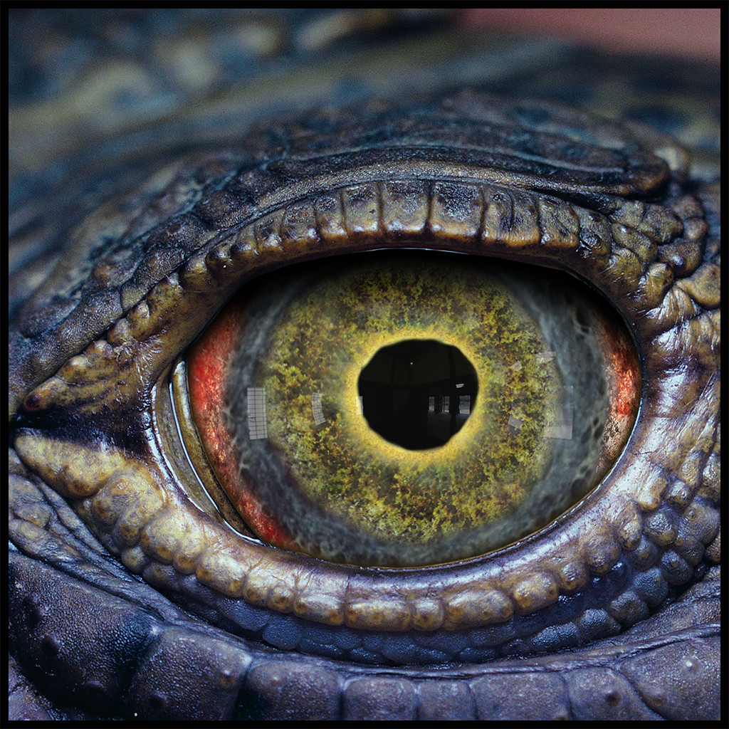 ArtStation - Creature Eye Textures - Vol 03 | Resources