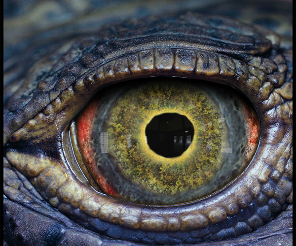 ArtStation - Creature Eye Textures - Vol 03 | Resources