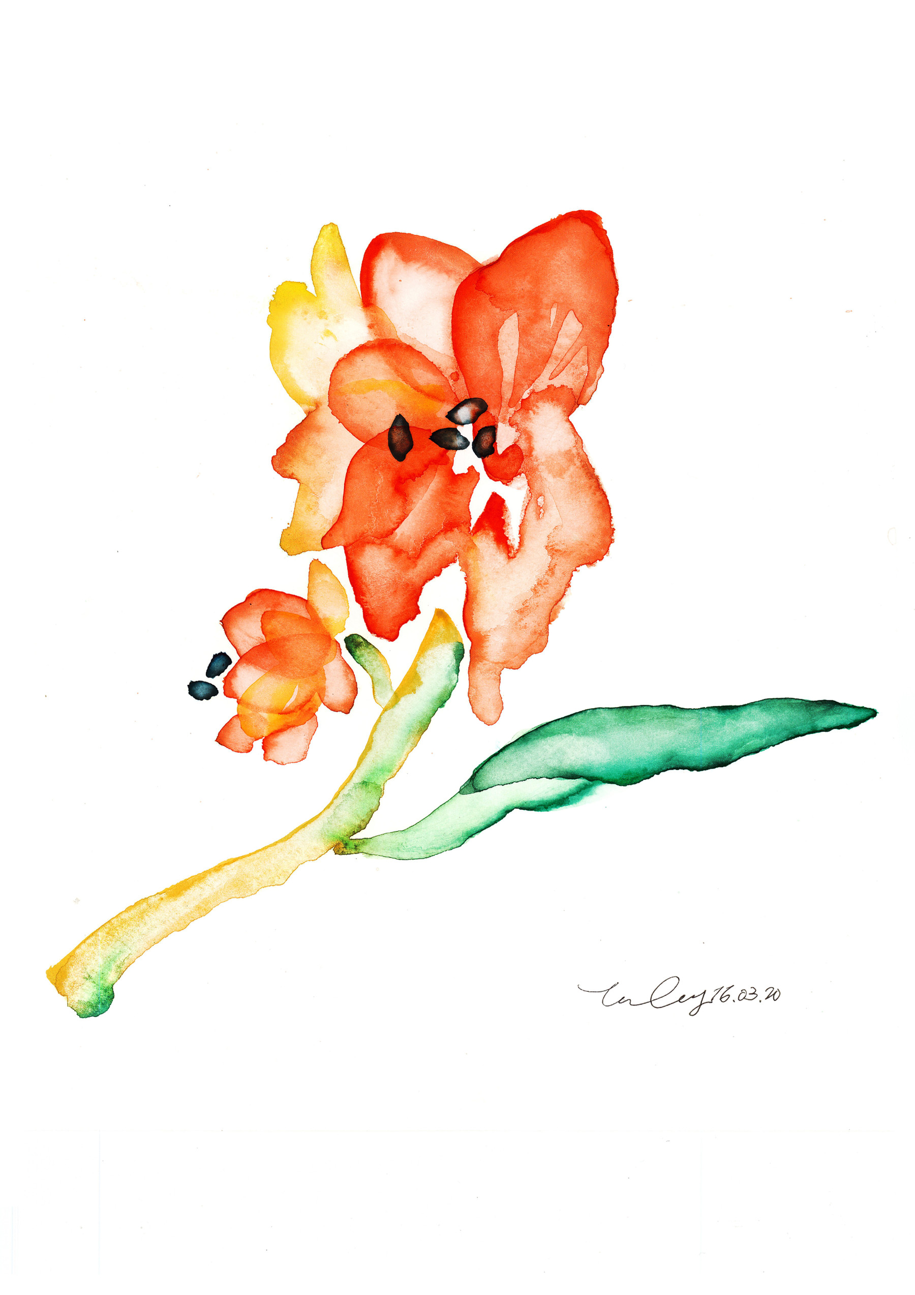 ArtStation - FLORA COLLECTION | Artworks