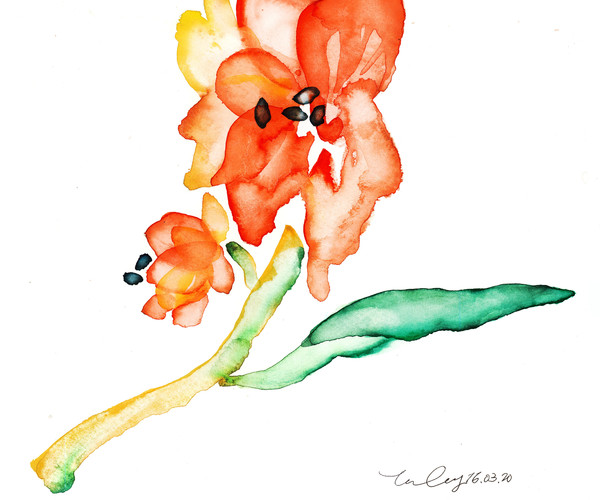 ArtStation - FLORA COLLECTION | Artworks