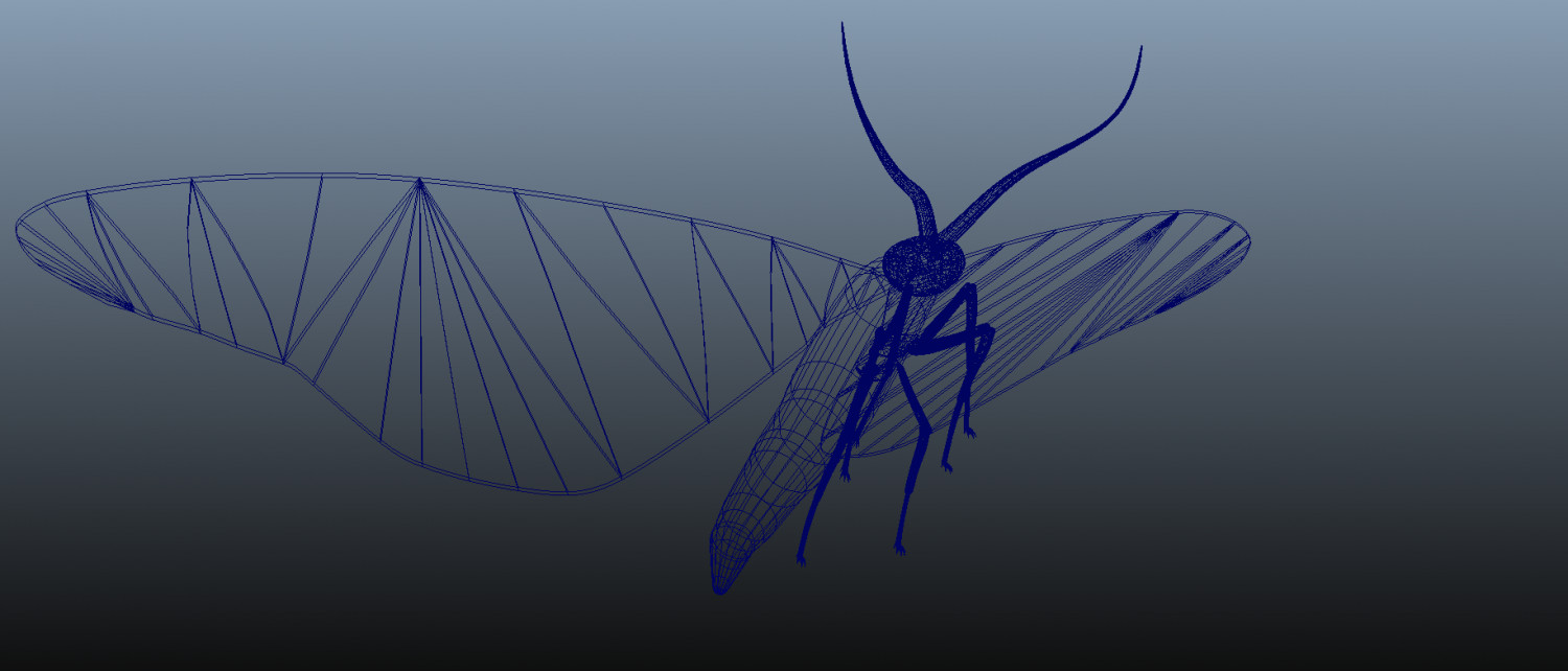 ArtStation - Moth Insect | Resources