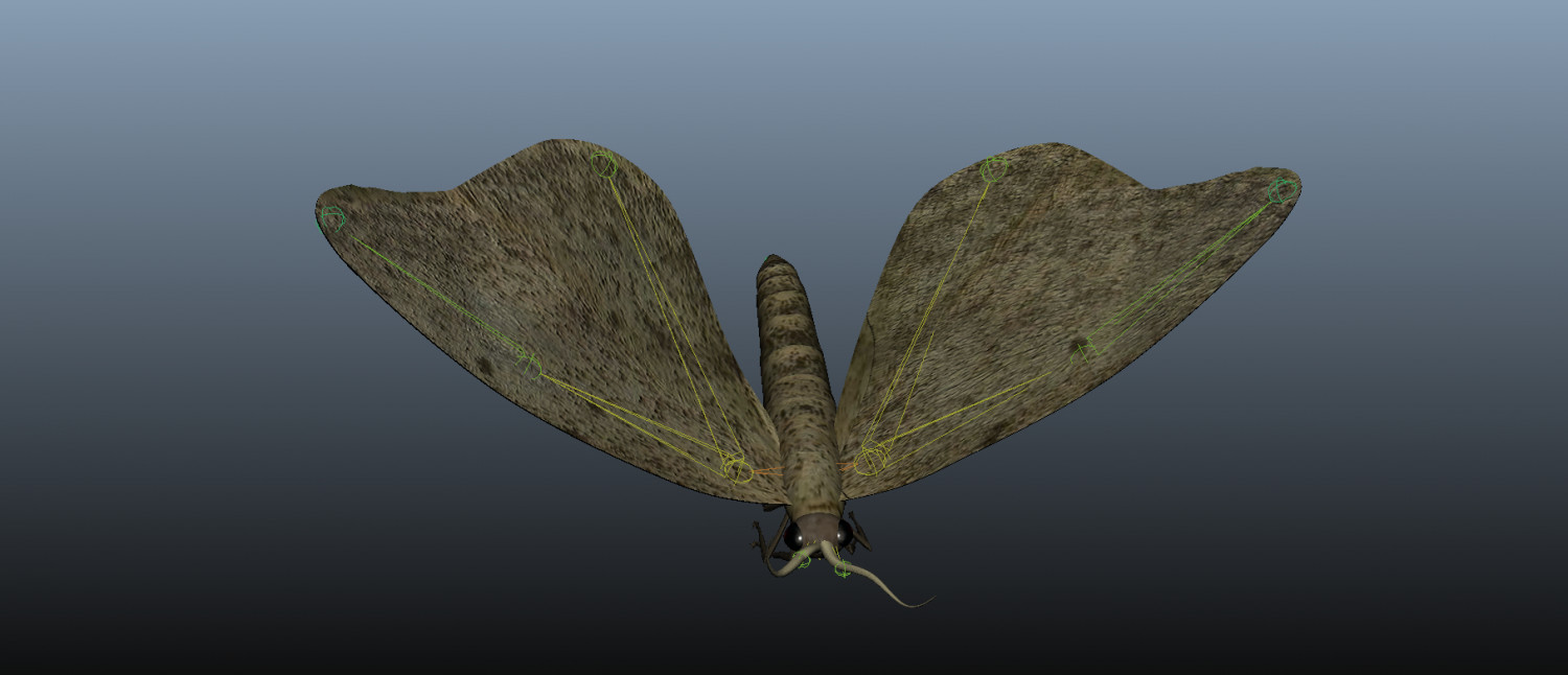 ArtStation - Moth Insect | Resources