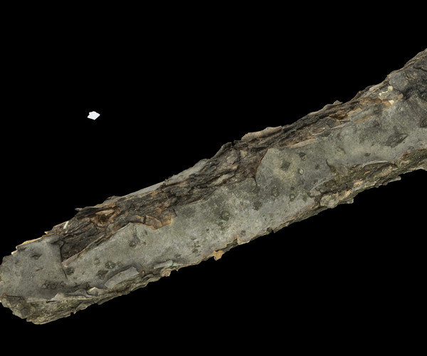 ArtStation - Photoscan_Broken Tree_0003_only HighPoly Mesh (16K Texture ...