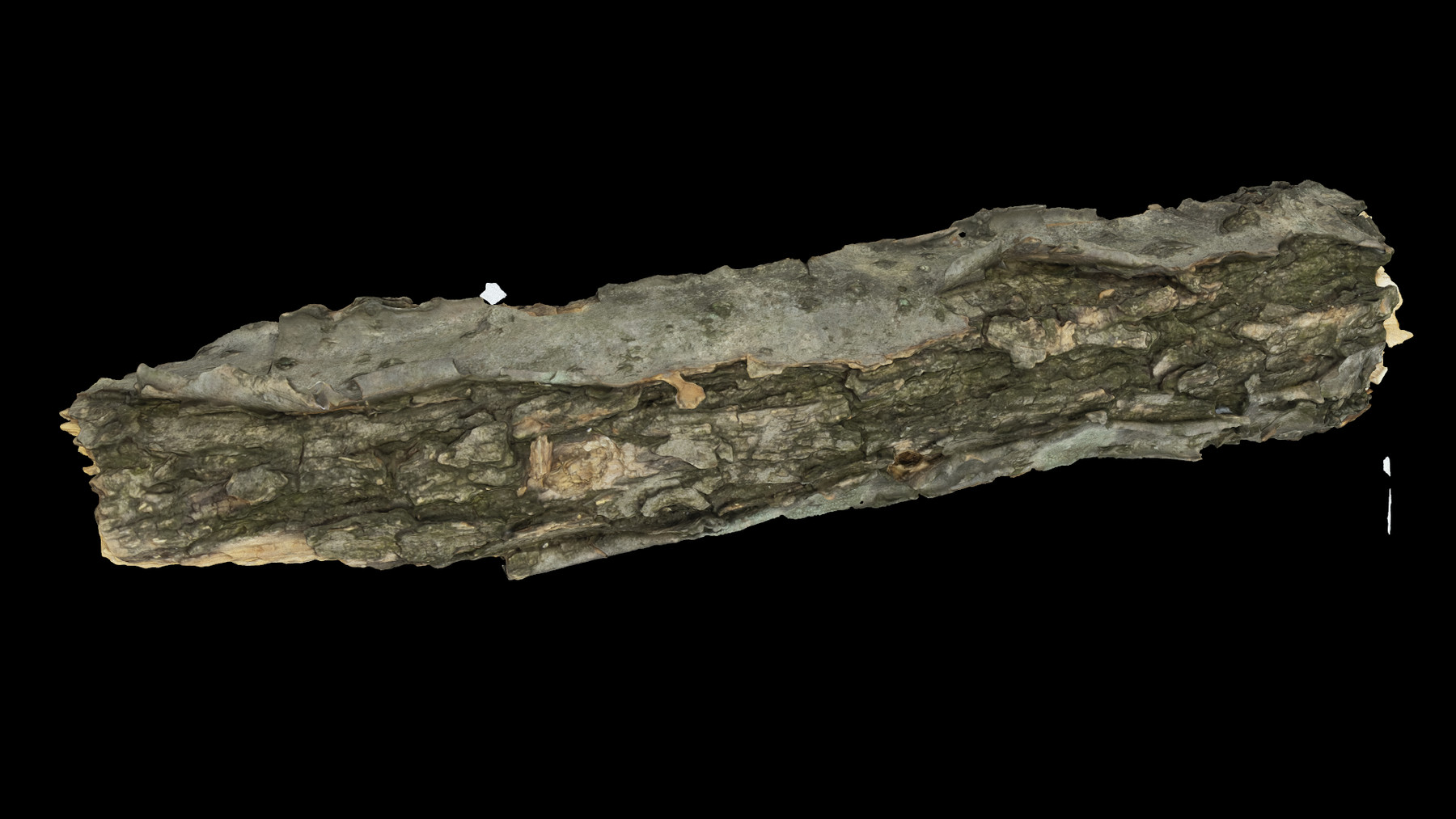 ArtStation - Photoscan_Broken Tree_0003_only HighPoly Mesh (16K Texture ...
