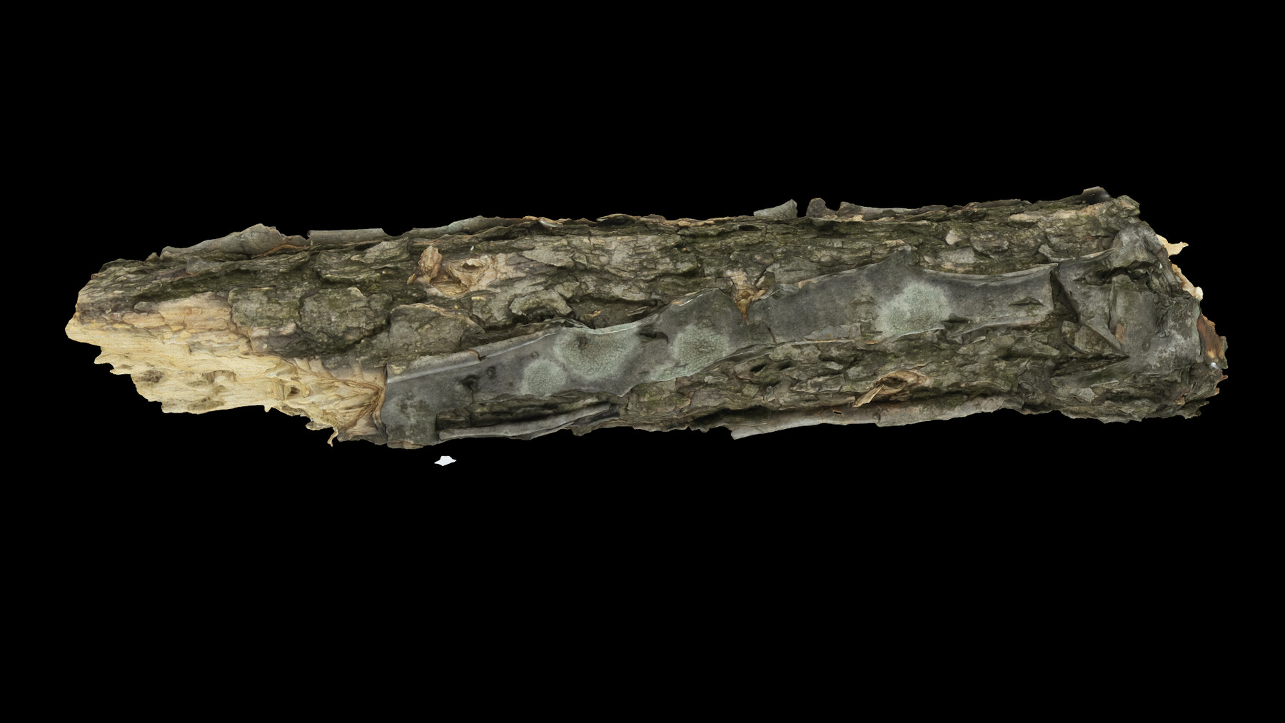 ArtStation - Photoscan_Broken Tree_0003_only HighPoly Mesh (16K Texture ...