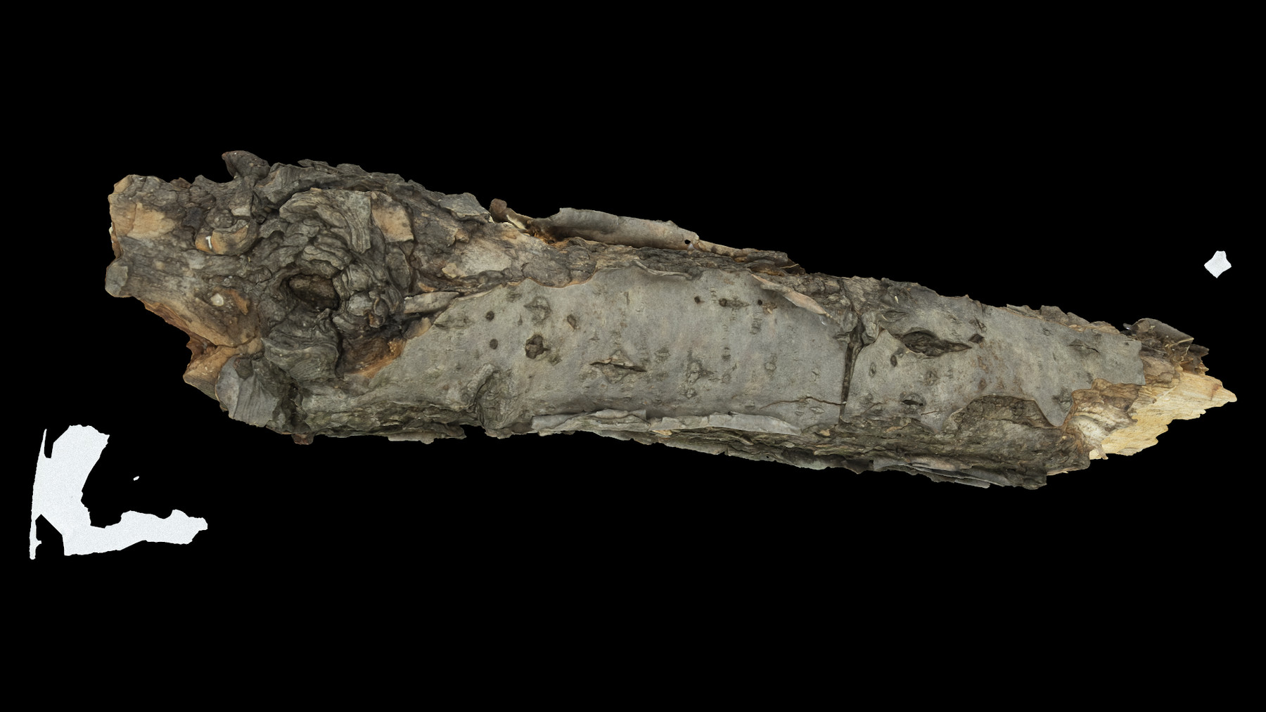 ArtStation - Photoscan_Broken Tree_0003_only HighPoly Mesh (16K Texture ...