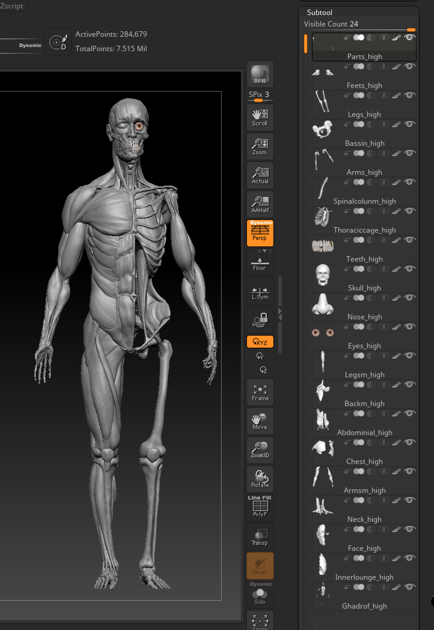 ArtStation - Skeleton & Muscles Study | Resources