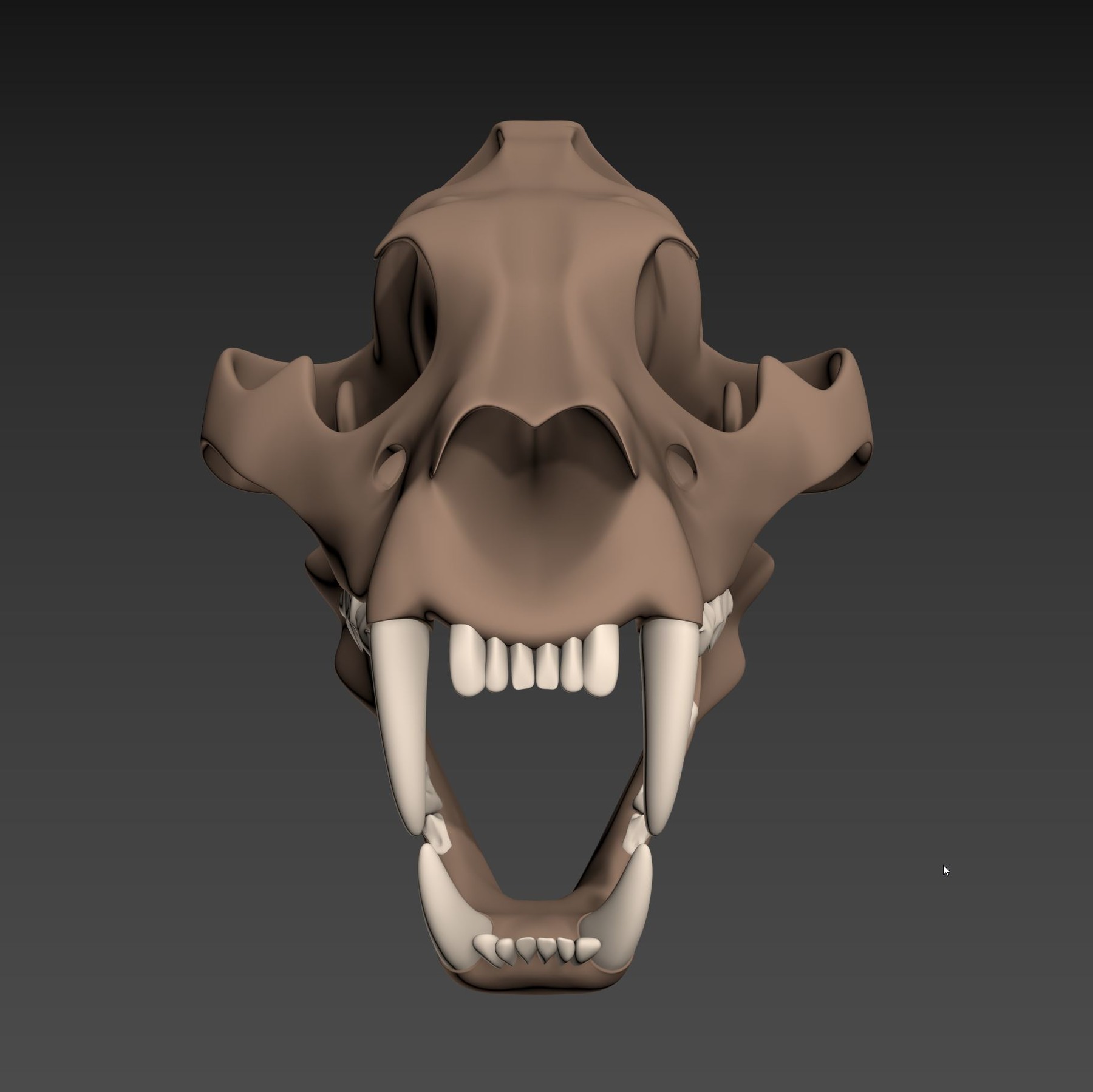 ArtStation - Tiger Skull | Resources