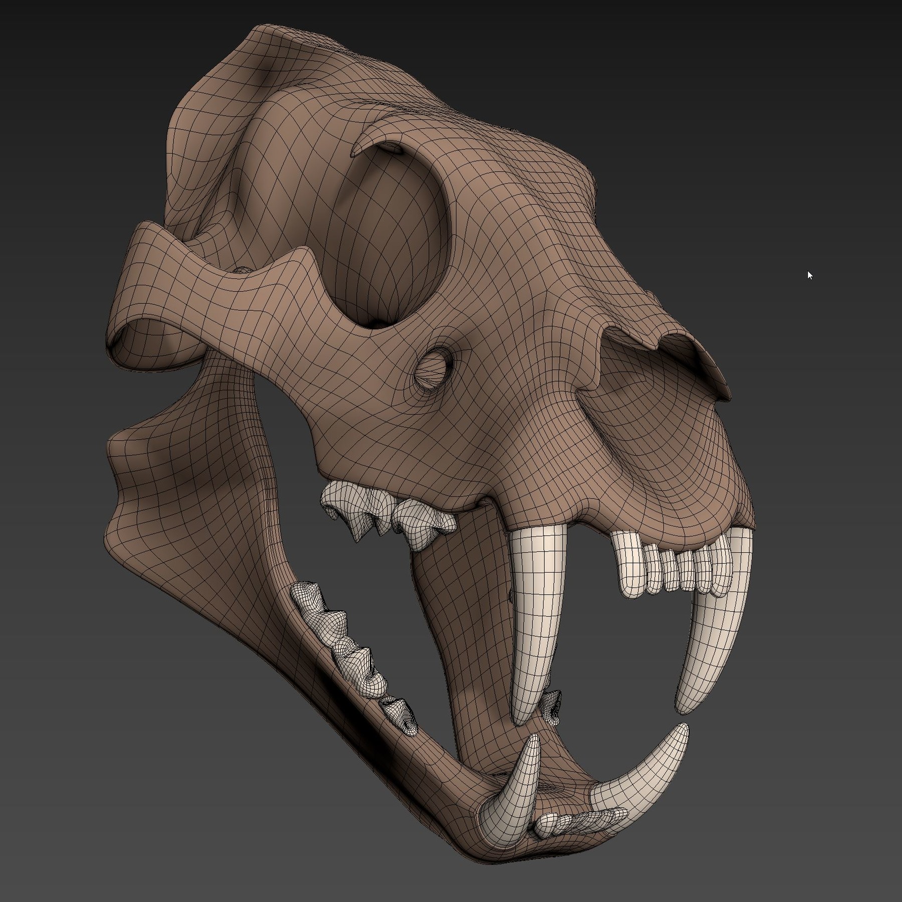 ArtStation - Tiger Skull | Resources
