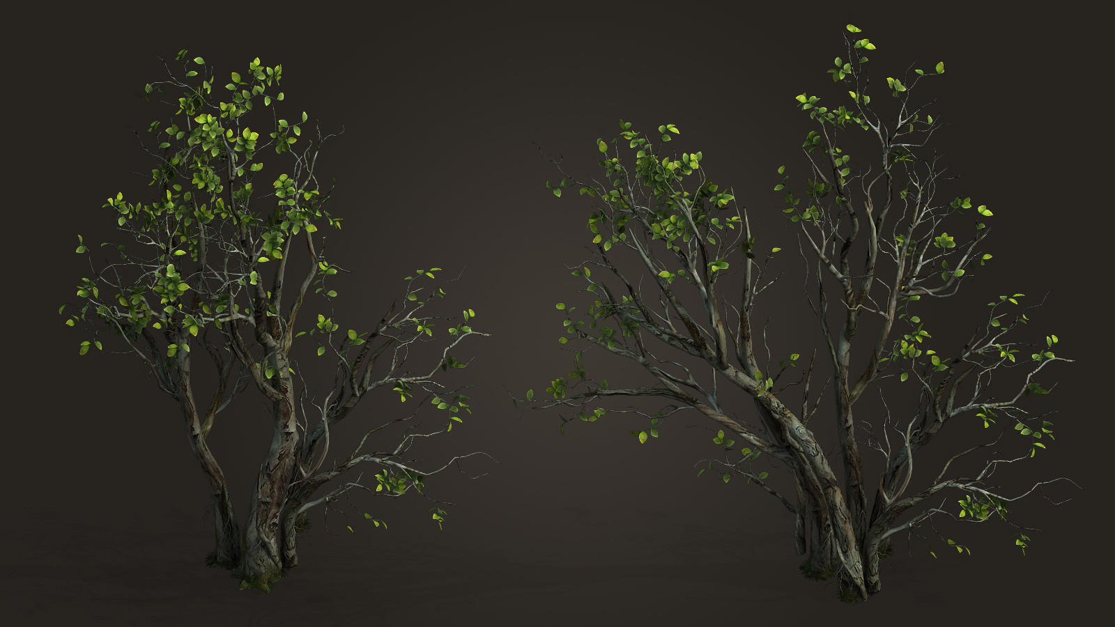 ArtStation - TREES | Resources