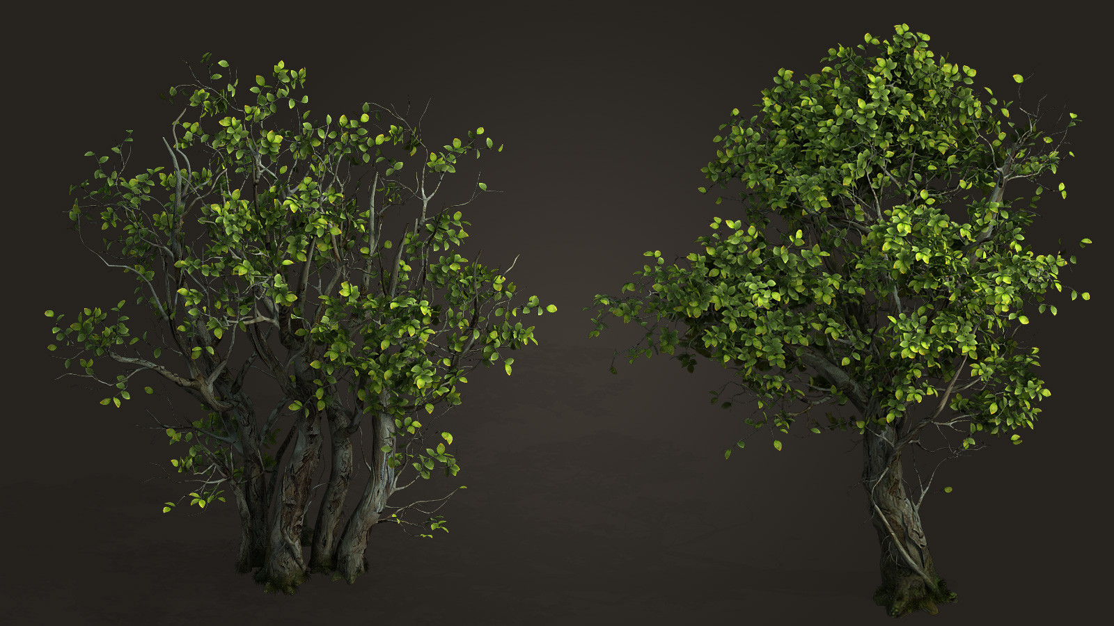 ArtStation - TREES | Resources