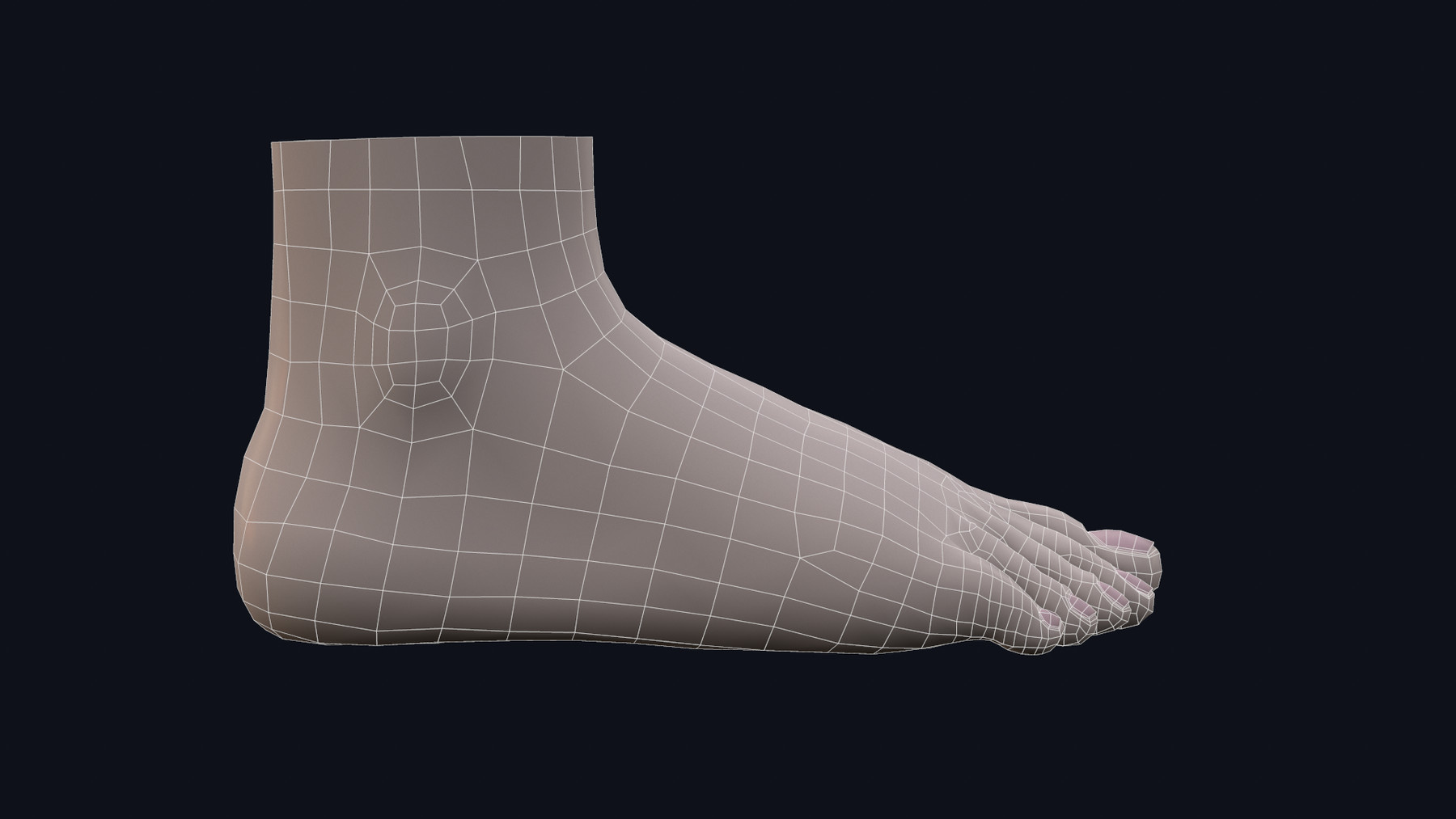 ArtStation - Foot for Character Basemesh Low-poly 3D model | Resources