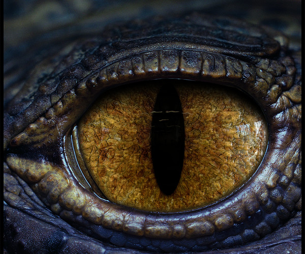 ArtStation - Creature Eyes Vol 06 - PBR | Resources