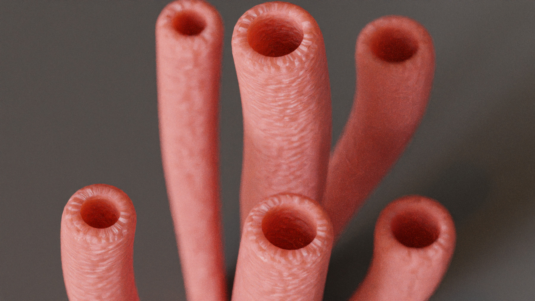 ArtStation - Coral Collection | Game Assets