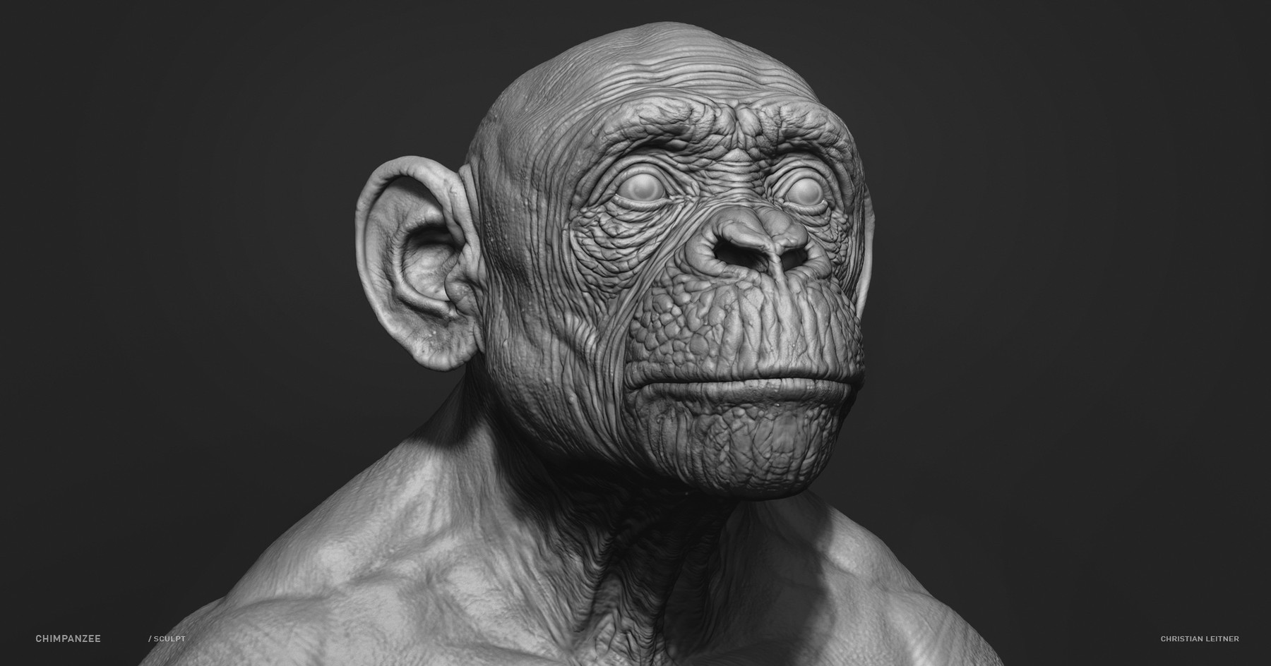 ArtStation - MONKEY - Chimpanzee – sculpt/retopology/skeleton/muscles ...