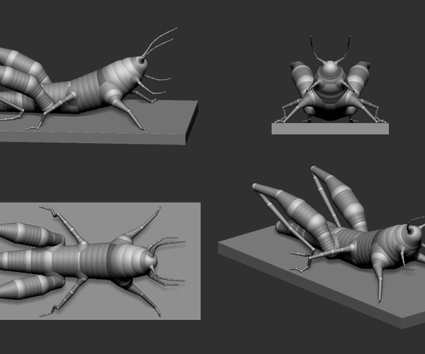 ArtStation - Grasshopper - Part 1: ZBrush Modelling | Tutorials