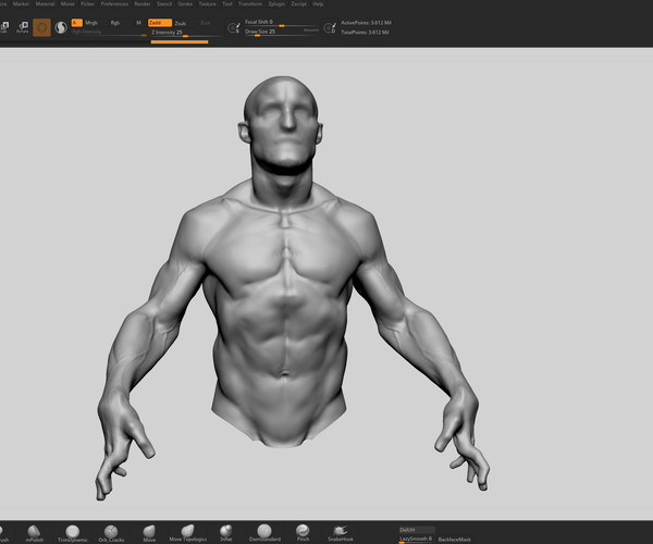 ArtStation - Upper Body Sculpting | Resources