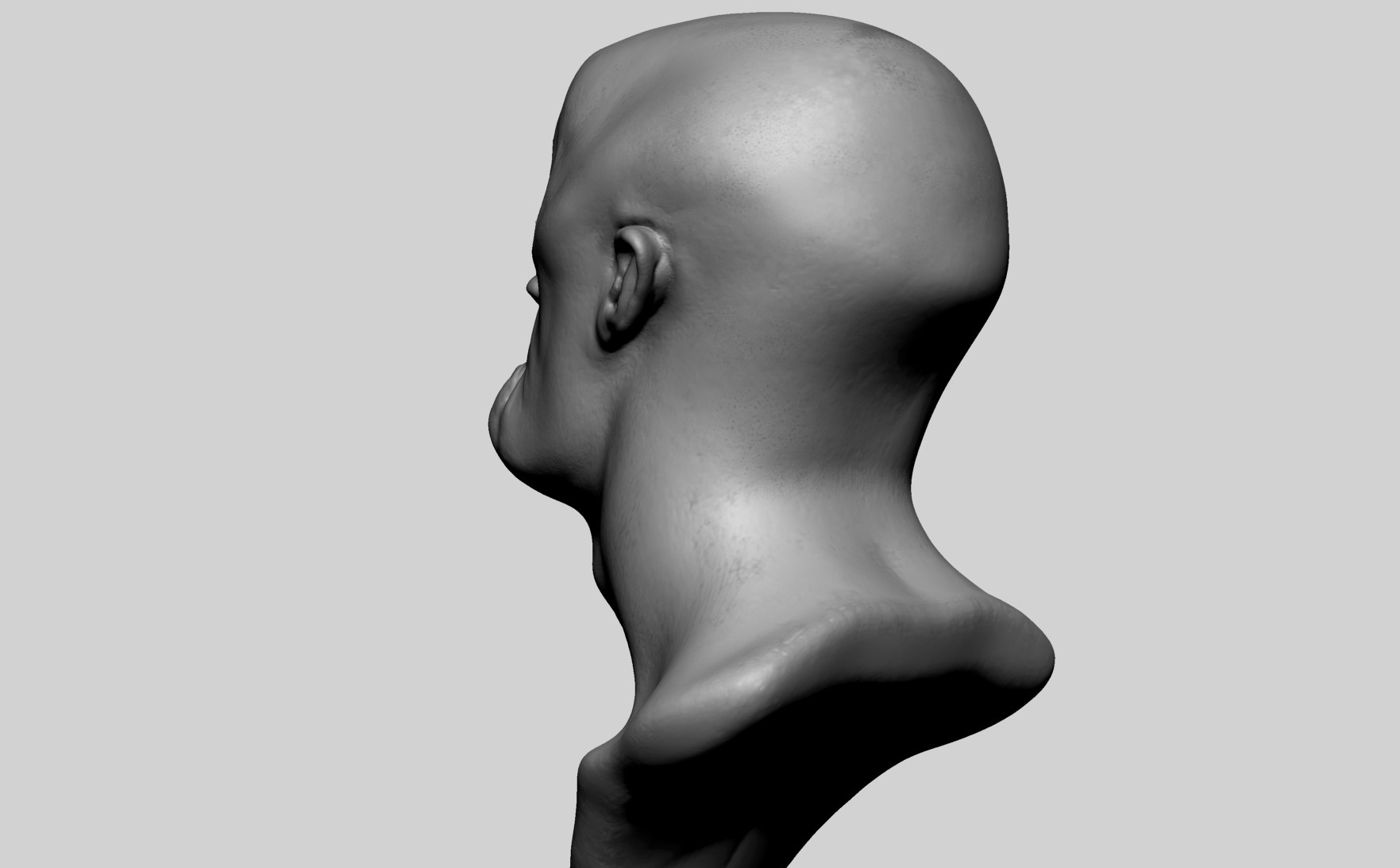 ArtStation - Curvy Creature Head | Resources