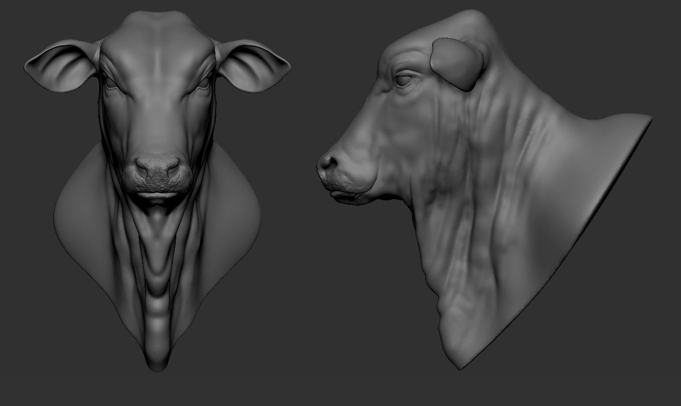 ArtStation - Bull Head - ZBRUSH and OBJ | Resources