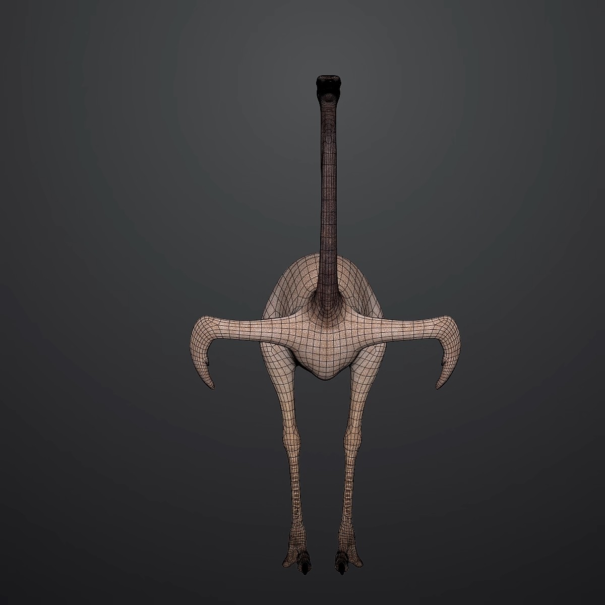 ArtStation - Realistic 3D model of Ostrich | Resources