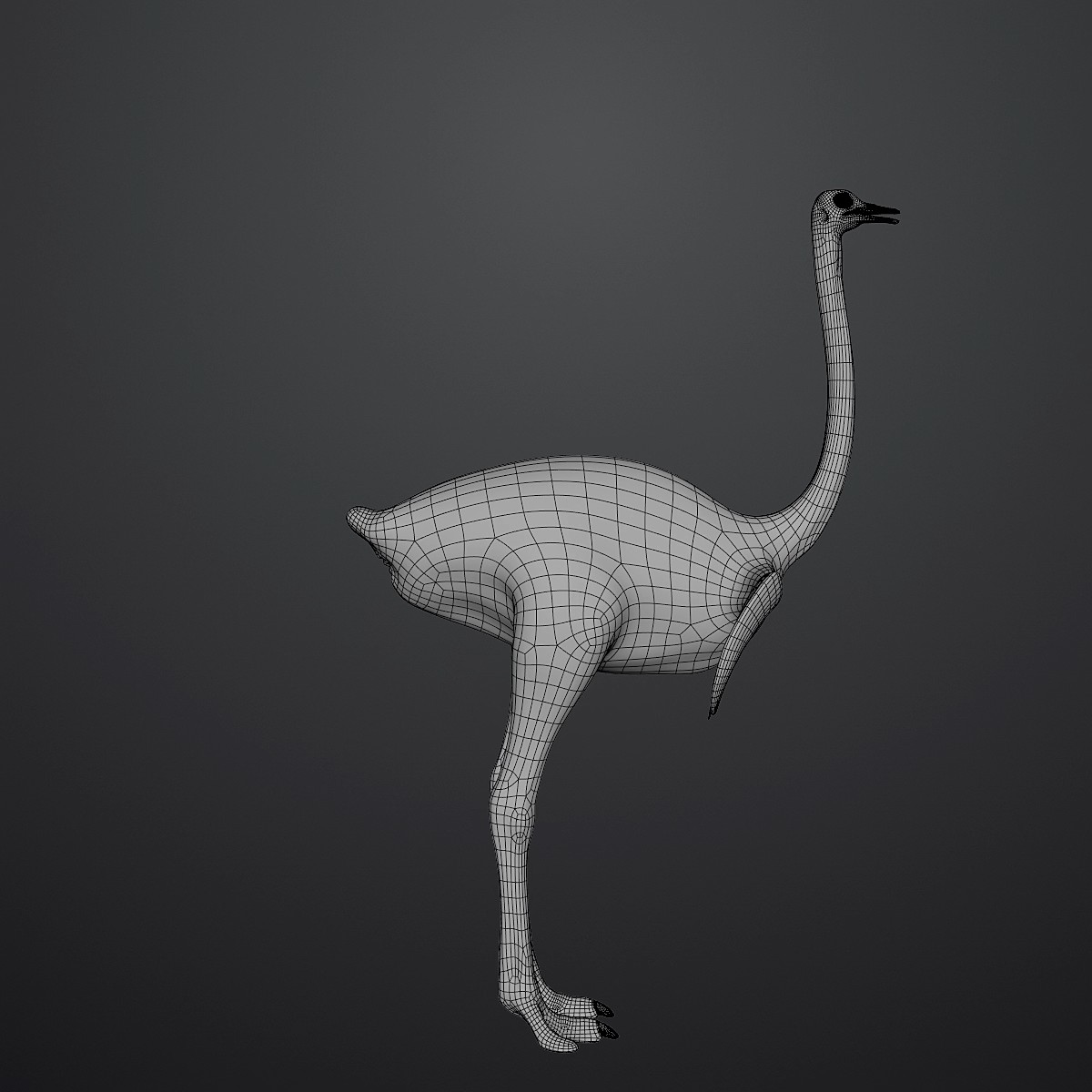 ArtStation - Realistic 3D model of Ostrich | Resources