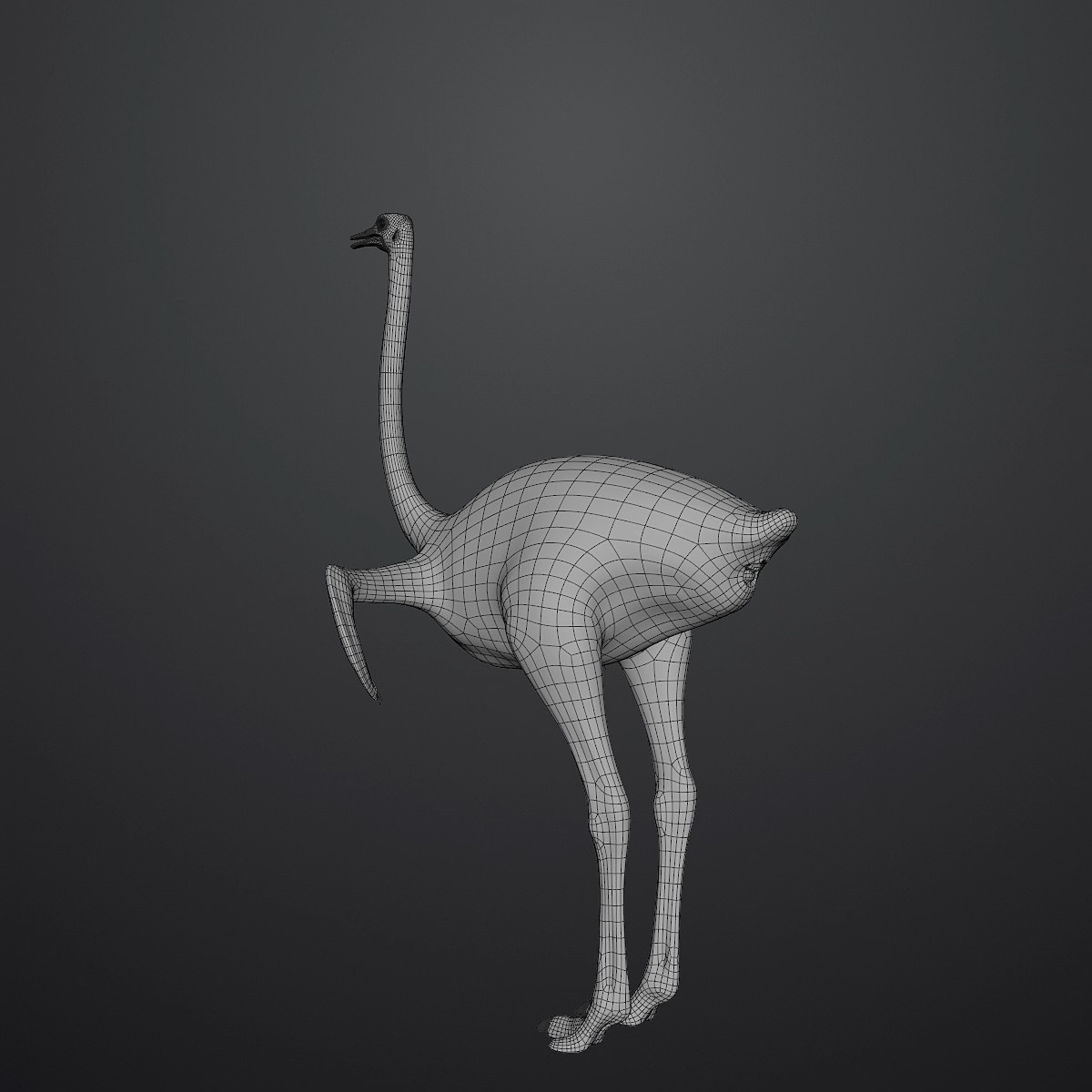 ArtStation - Realistic 3D model of Ostrich | Resources