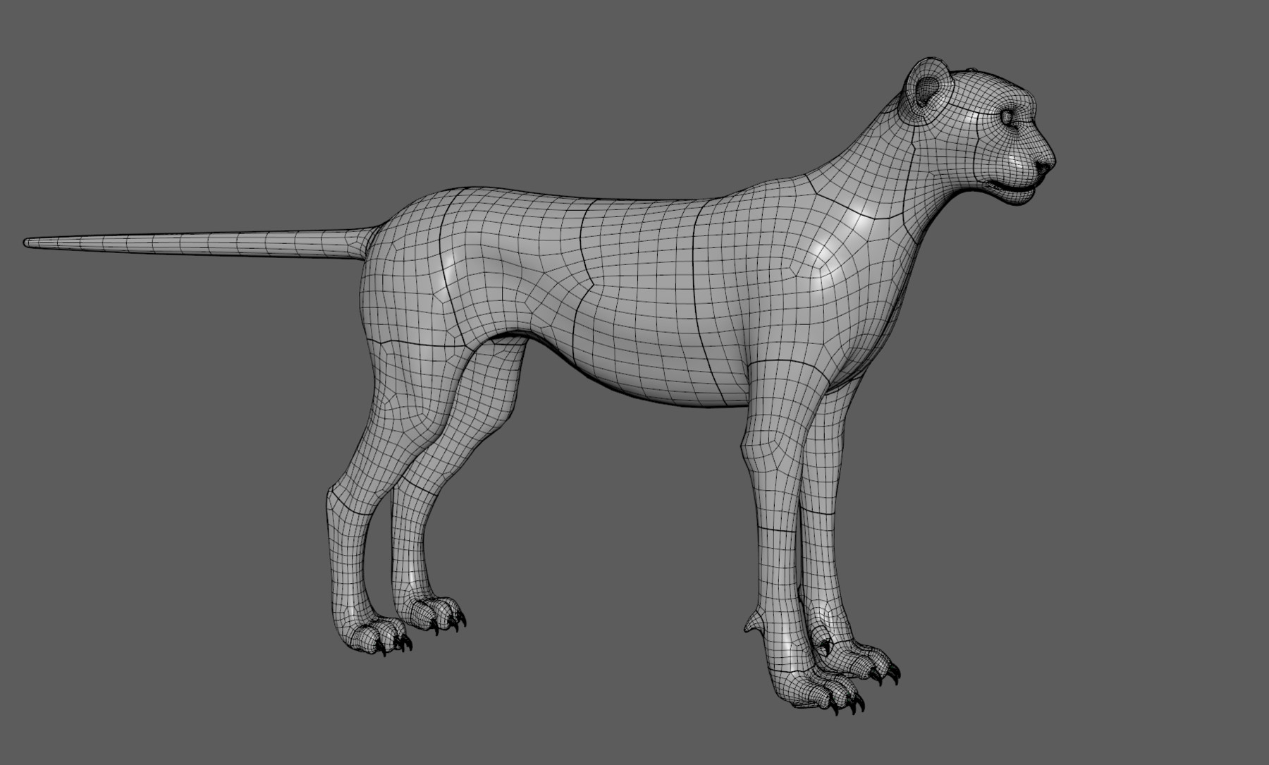 ArtStation - Cheetah | Resources