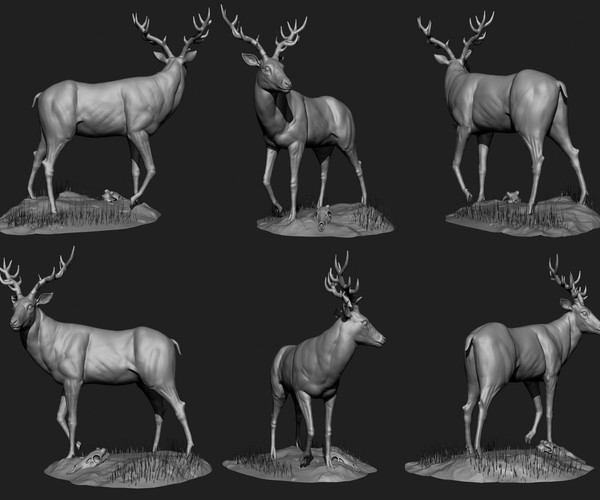 ArtStation - Deer Base Mesh | Resources