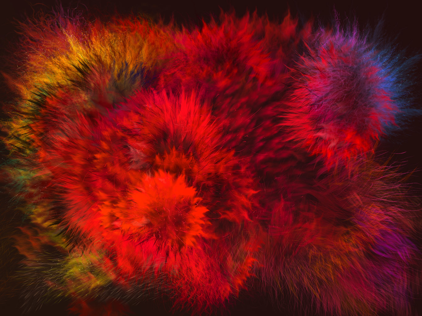 ArtStation - Realistic FUR Brushes for Affinity Photo & Designer | Brushes