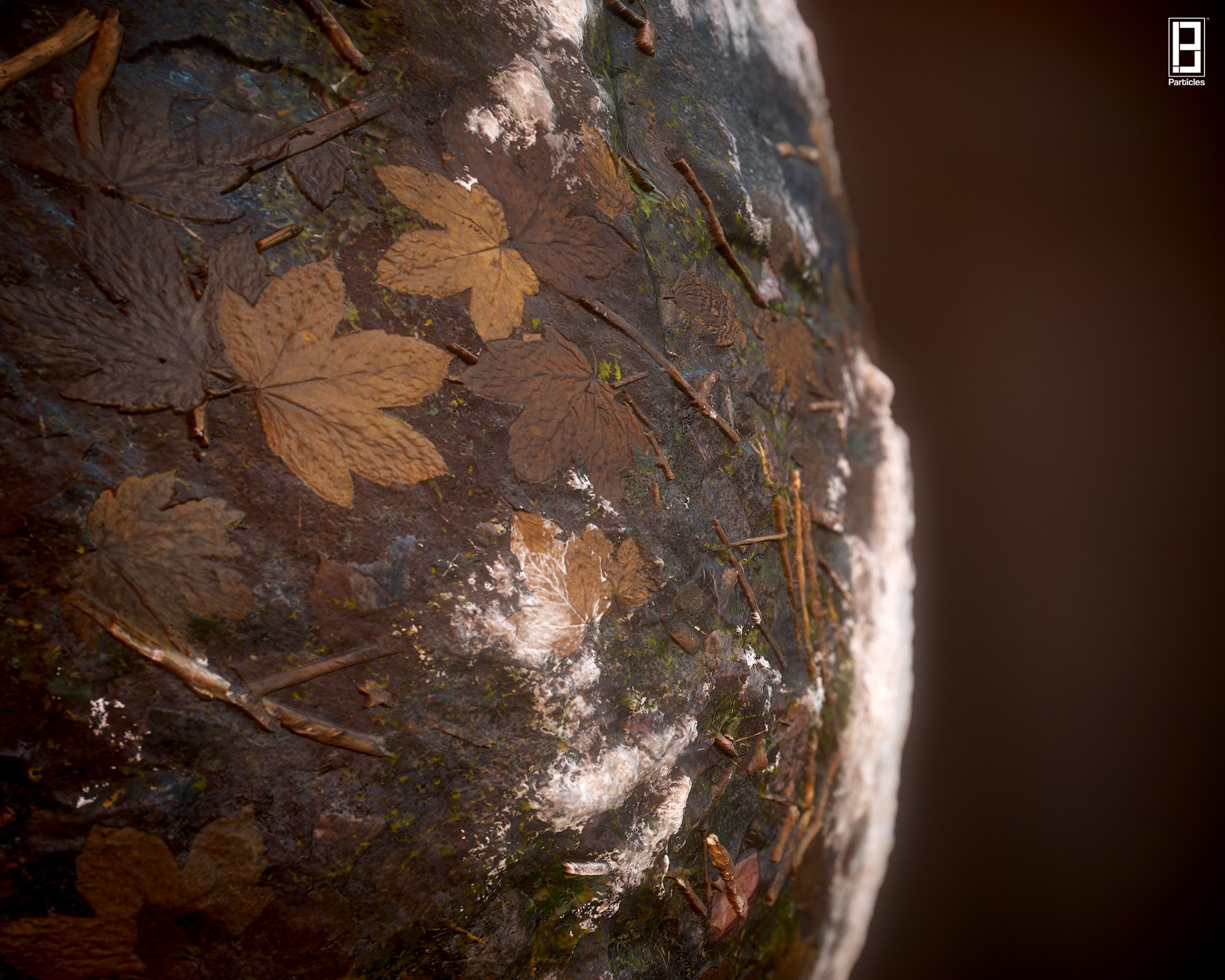 ArtStation - 4k PBR Texture Of Snowy Moss | Resources