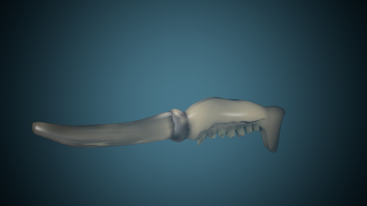 ArtStation - Native American indian bone knife | Game Assets