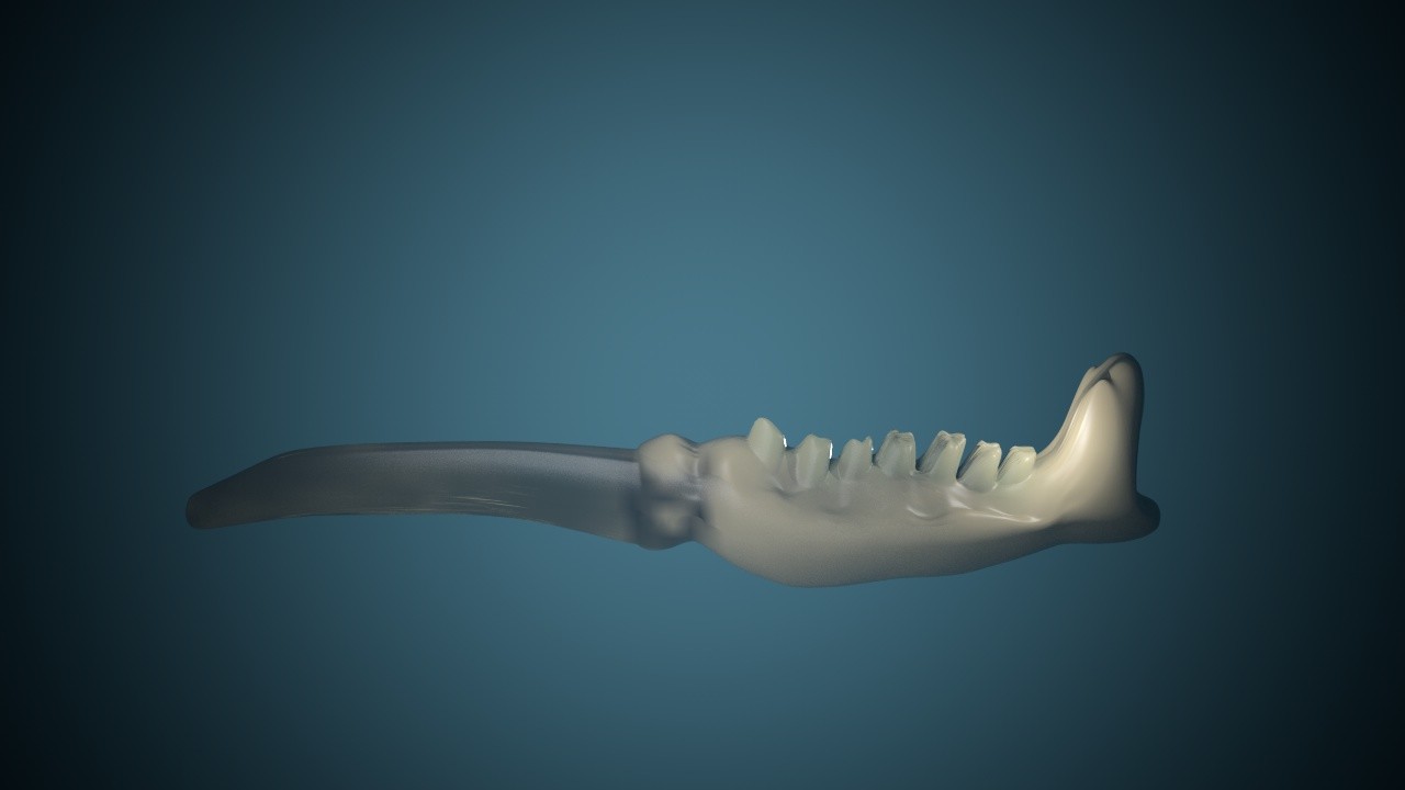 ArtStation - Native American indian bone knife | Game Assets