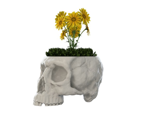 ArtStation - Skull Vase High Poly | Resources