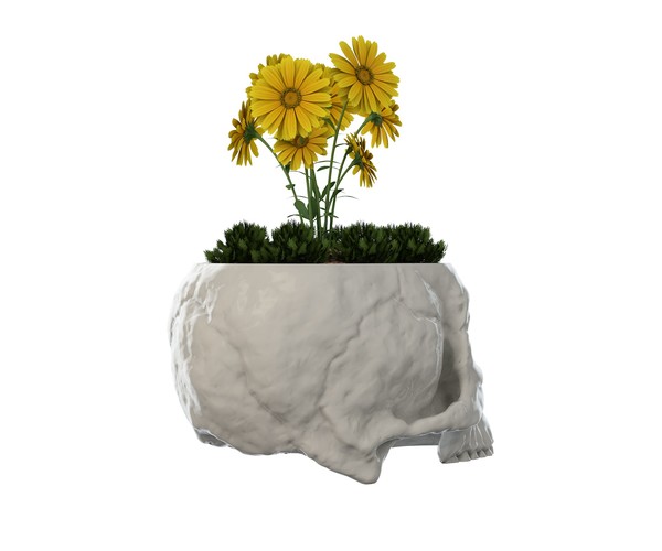 ArtStation - Skull Vase High Poly | Resources