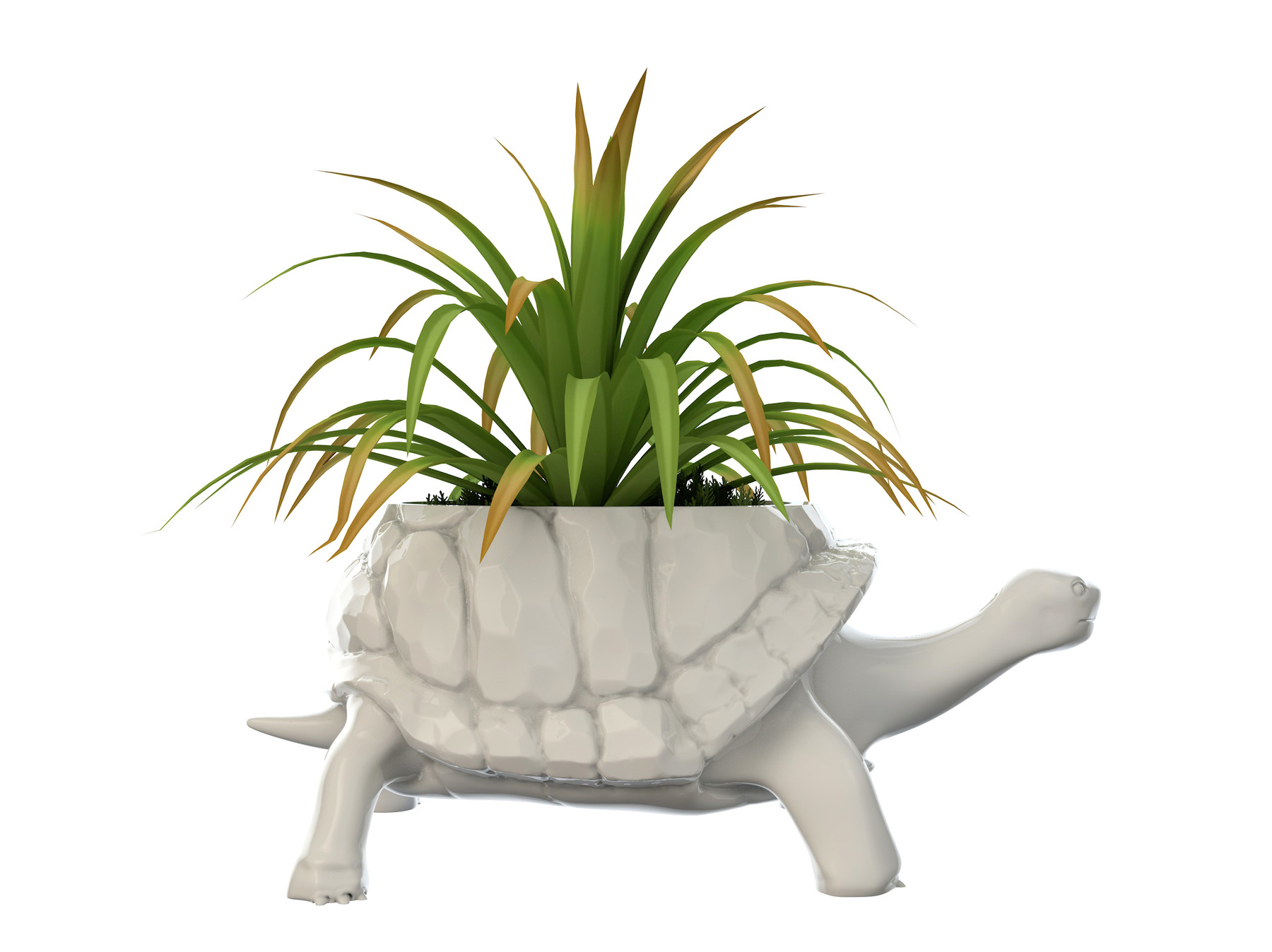 ArtStation - Turtle vase Plant | Resources