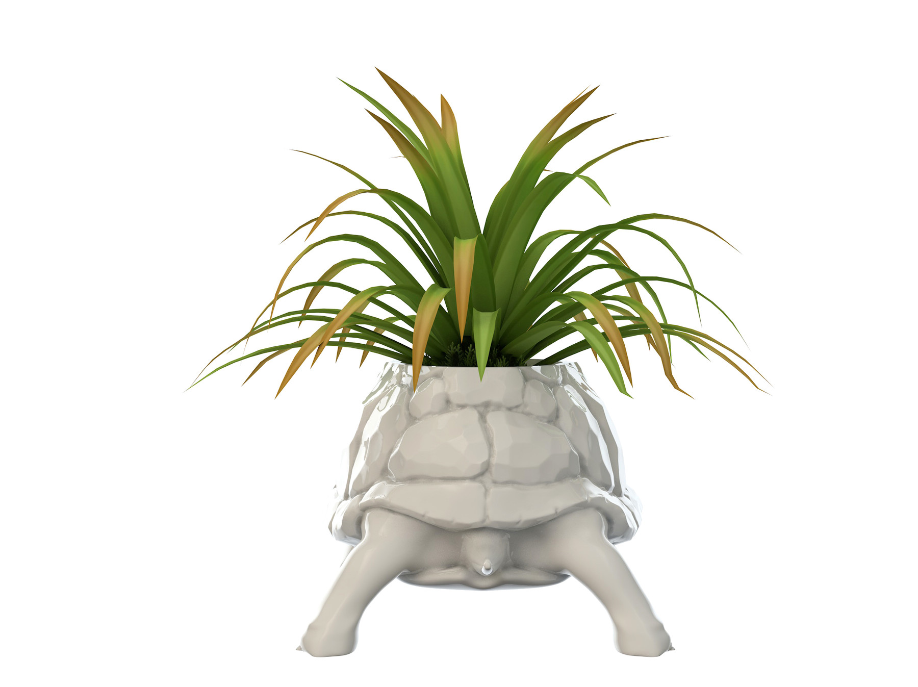 ArtStation - Turtle vase Plant | Resources