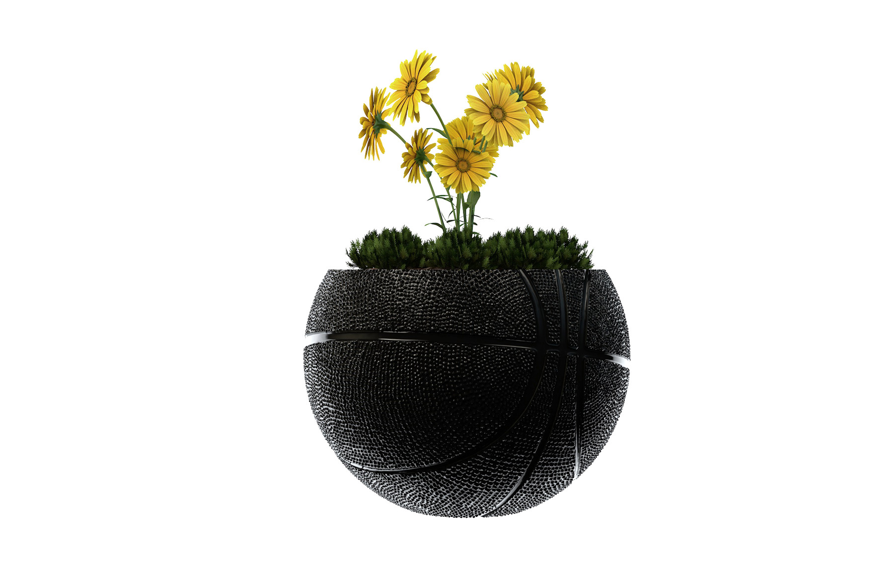 ArtStation - BasketBall Vase Plant | Resources
