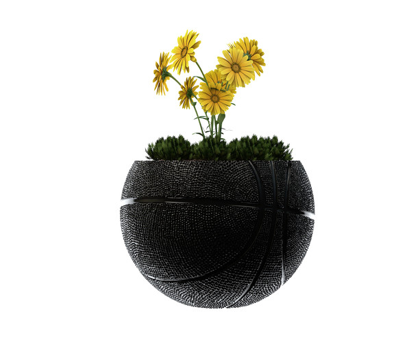ArtStation - BasketBall Vase Plant | Resources