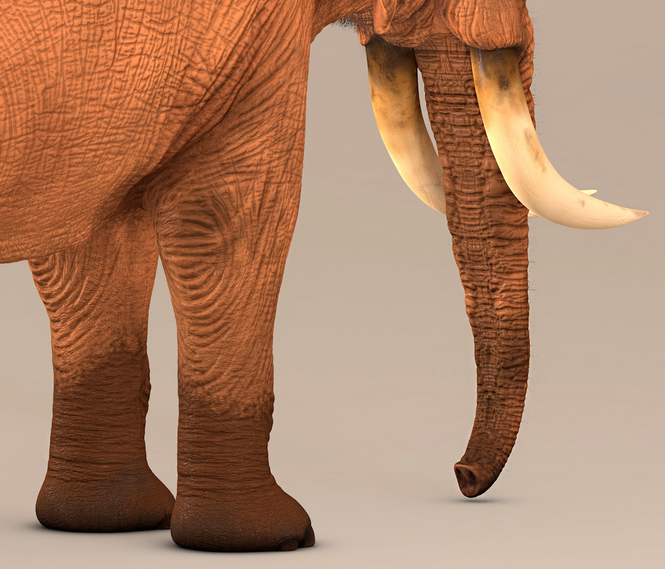 ArtStation - Elephant | Resources
