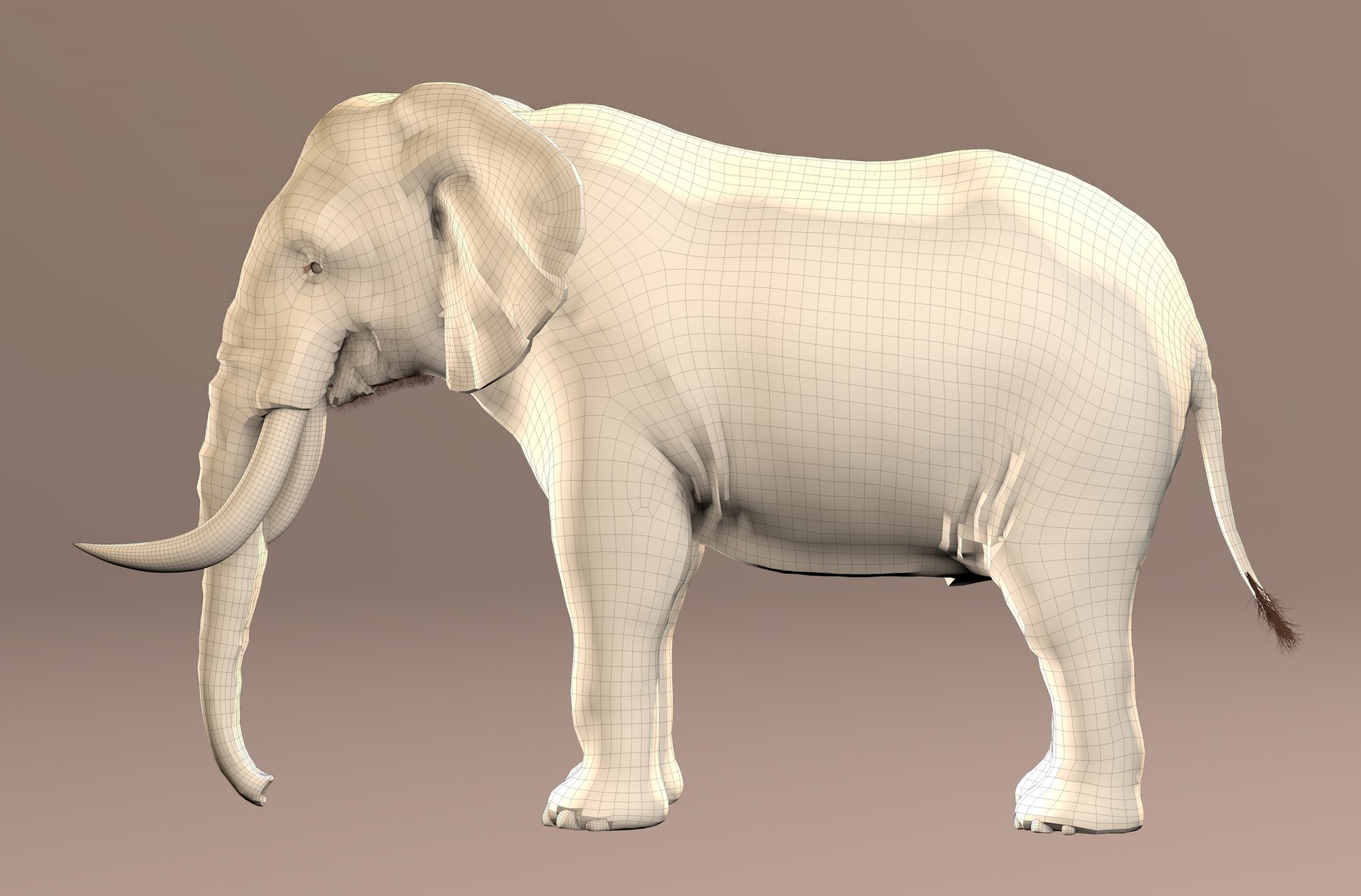 ArtStation - Elephant | Resources