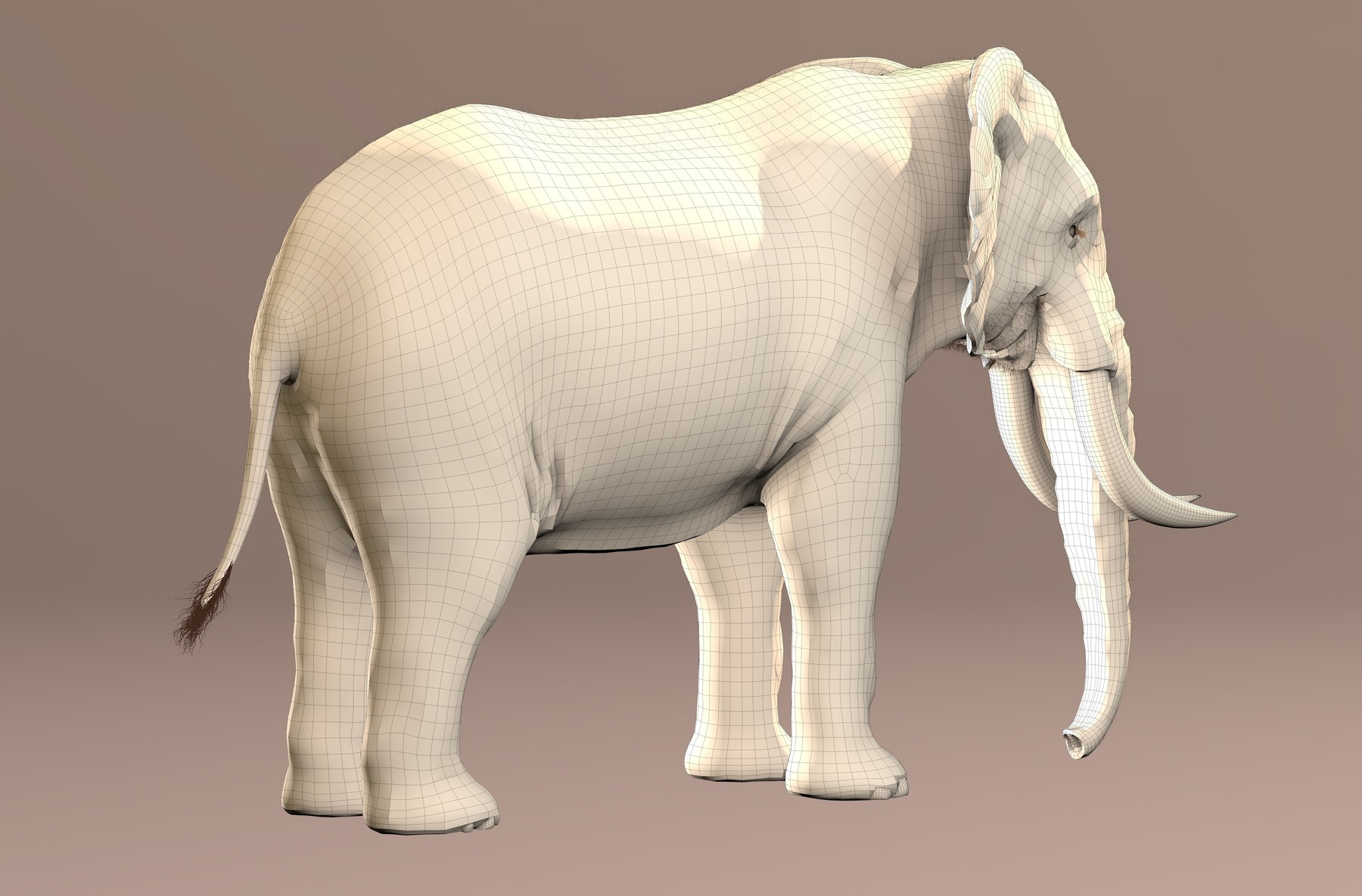 ArtStation - Elephant | Resources