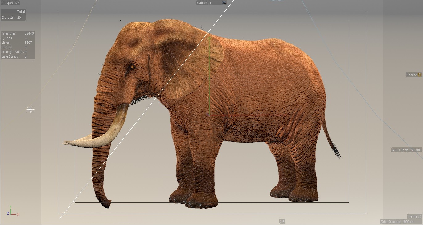 ArtStation - Elephant | Resources
