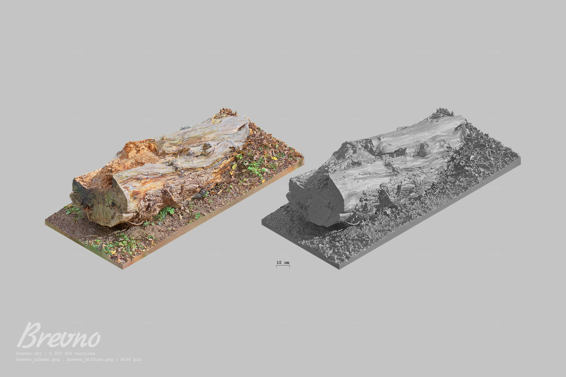 ArtStation - "Brevno" RAW 3D scan + midpoly mesh | Resources