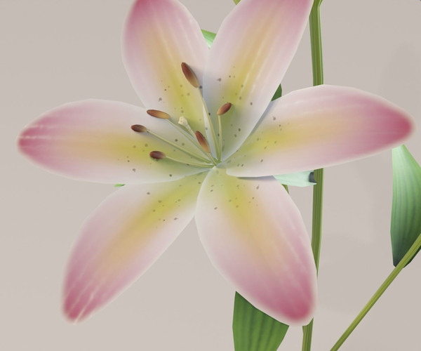 ArtStation - Lily 3D Model | Game Assets