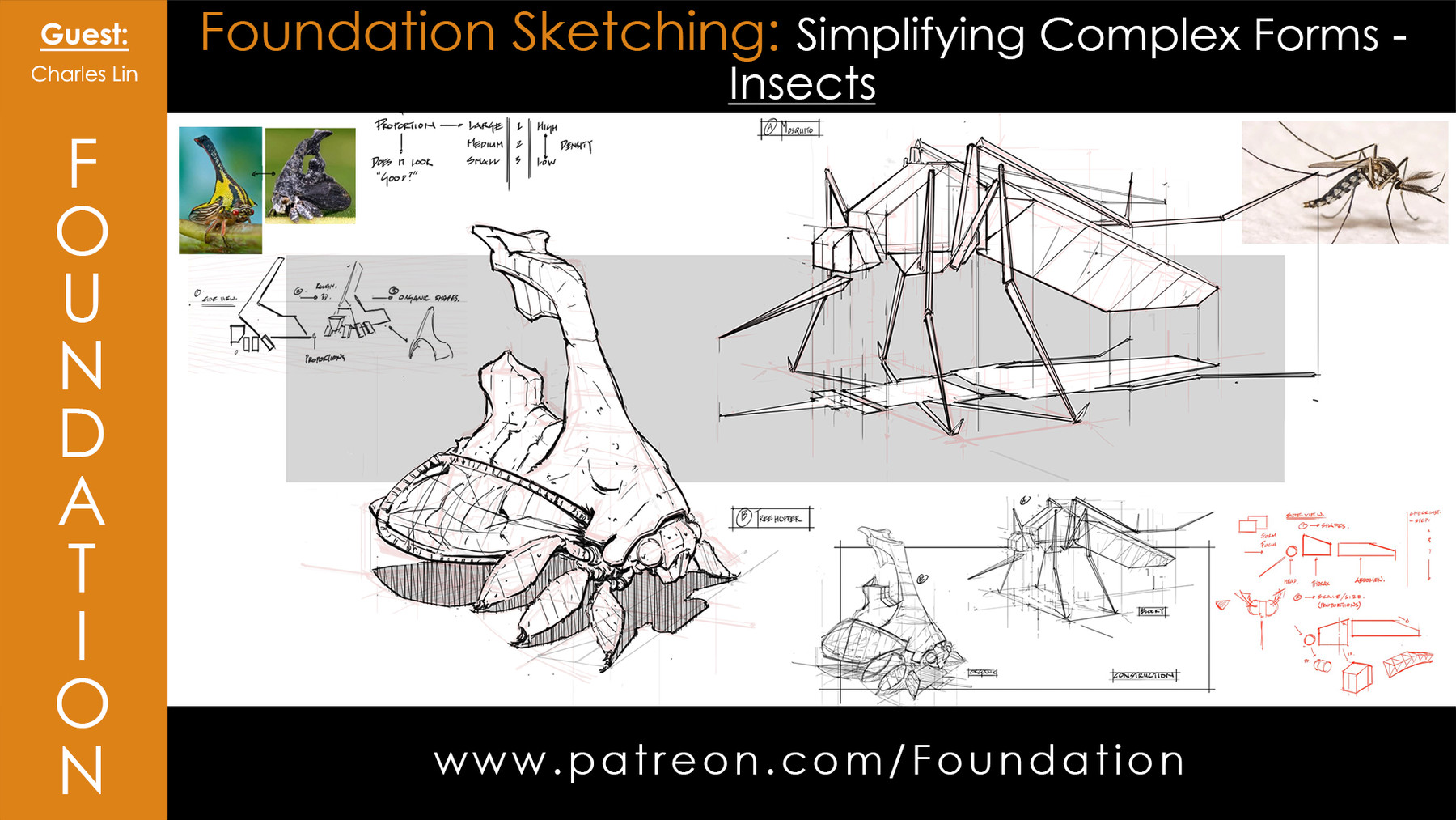 ArtStation - Foundation Art Group - Foundation Sketching: Simplifying Complex Forms - Insects ...