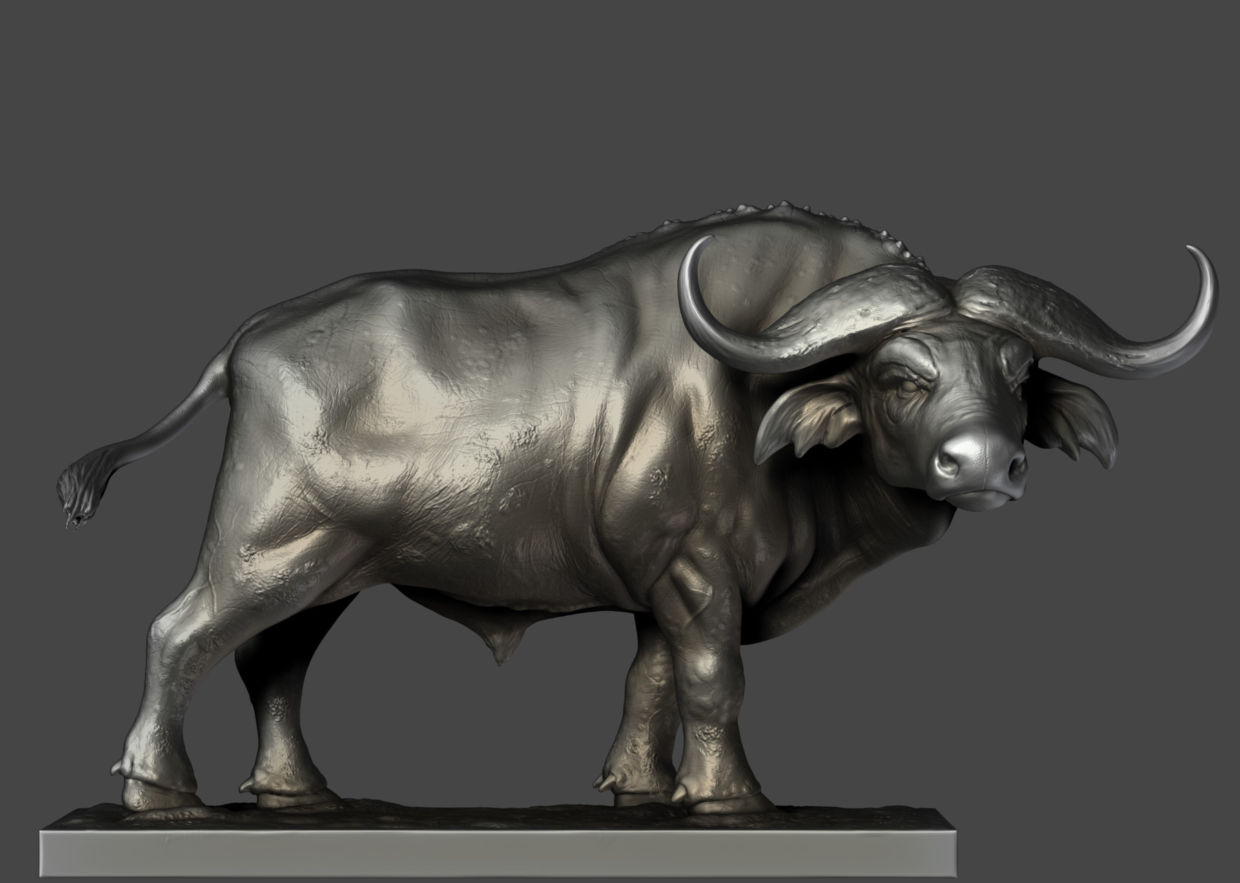 ArtStation - Buffalo | Resources